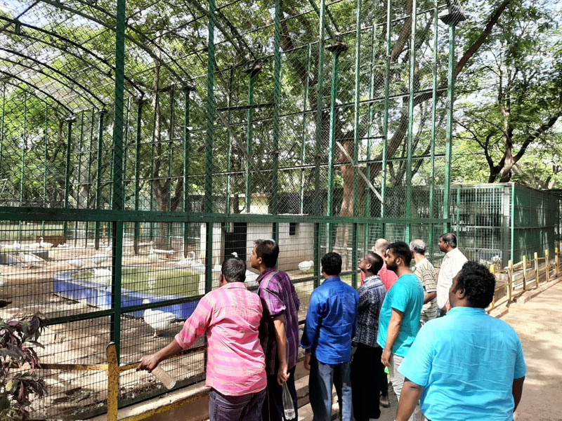 SEESHA :::: (Let's Give Life)